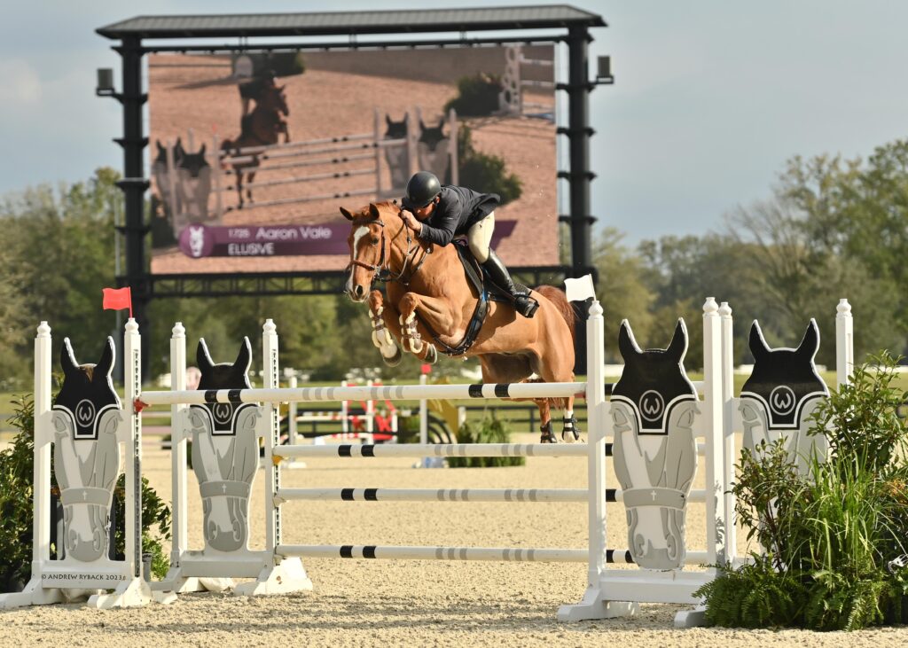 Two Aces Up His Sleeve! A “Double Victory” by Aaron Vale at World ...