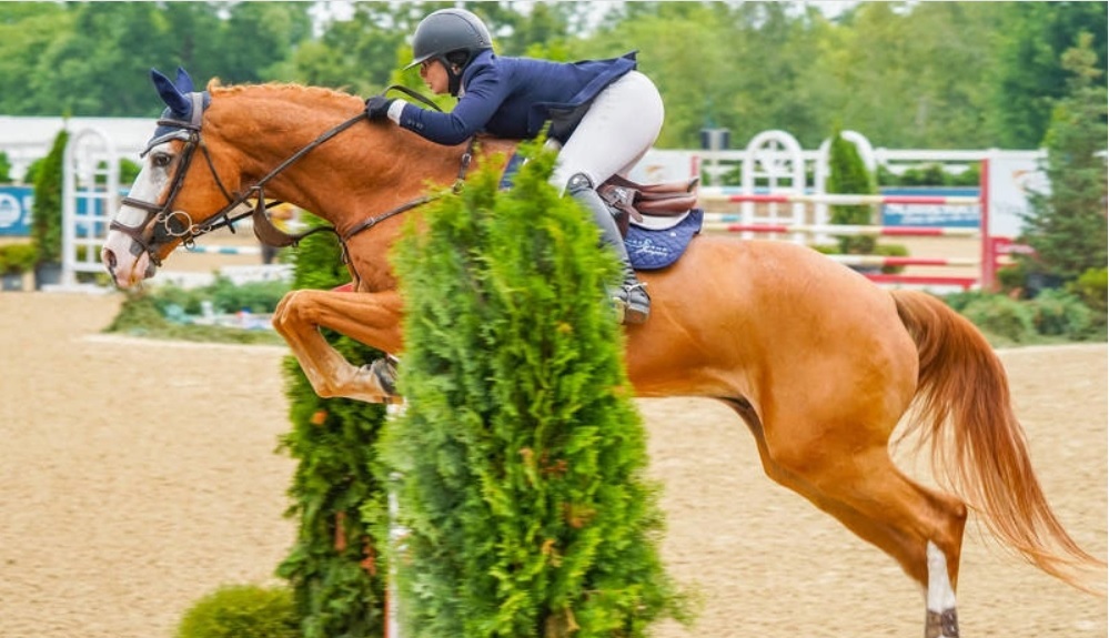 Linda Radigan & Balveneur Z Rule the $50,000 Purina Grand Prix at ...