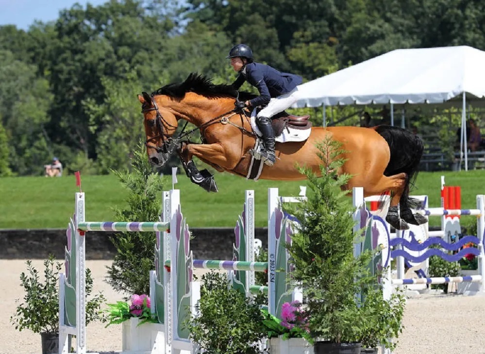 Bronze Honors for Laura Chapot & Chandon Blue in the $100,000 Hits ...