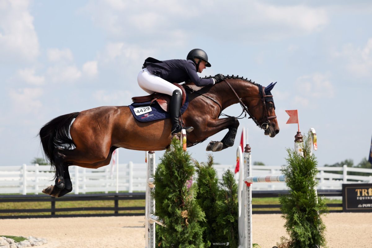 Twice is Nice! Kelly Soleau-Millar & Fire Fly Strike Again in the ...