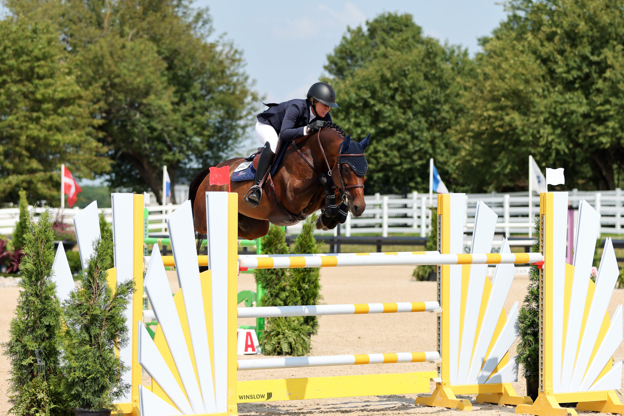 Twice is Nice! Kelly Soleau-Millar & Fire Fly Strike Again in the ...