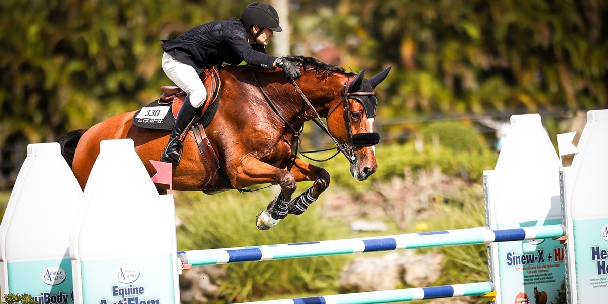 A Commanding Win by Brian Cournane & Dothraki Warlord at Wellington ...