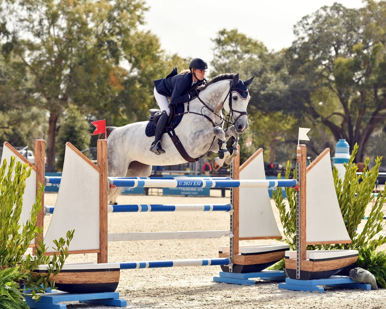 Tracy Fenney’s Phenomenal Performance Tops the $25,000 Hits Grand Prix at Ocala – JUMPER NEWS USA