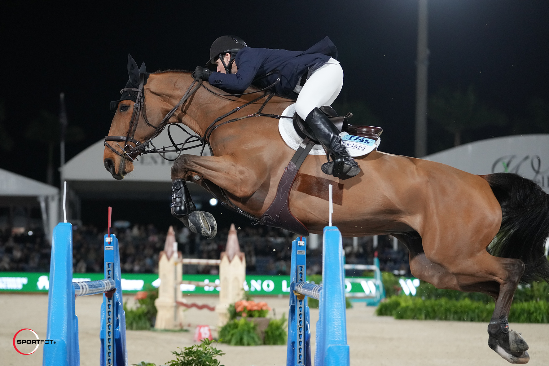 McLain Ward Comes Closes to Being the Hero of the Day at Wellington ...