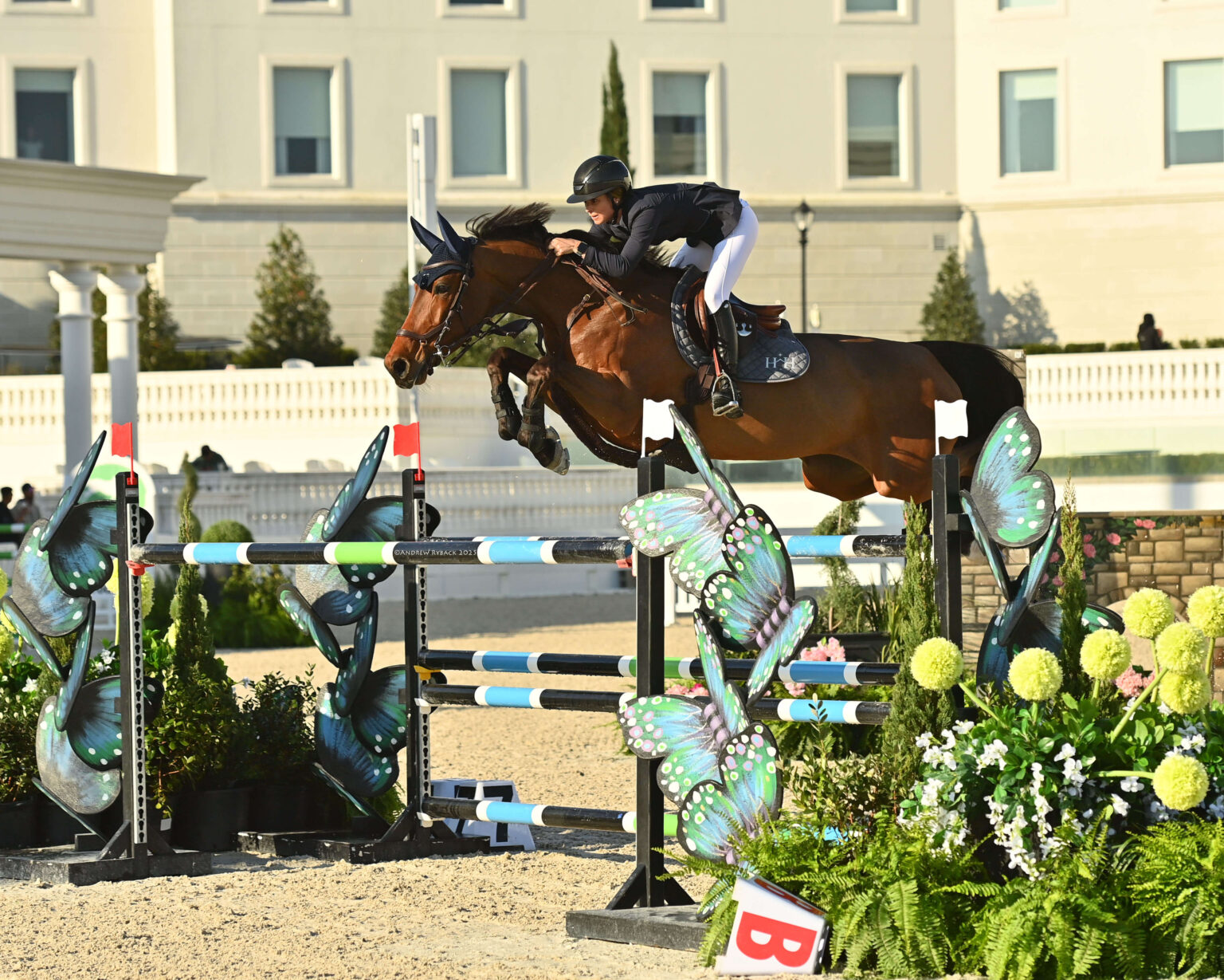 Letting the Cat out of the Bag! Alise Oken Lets New Partner Go for the ...