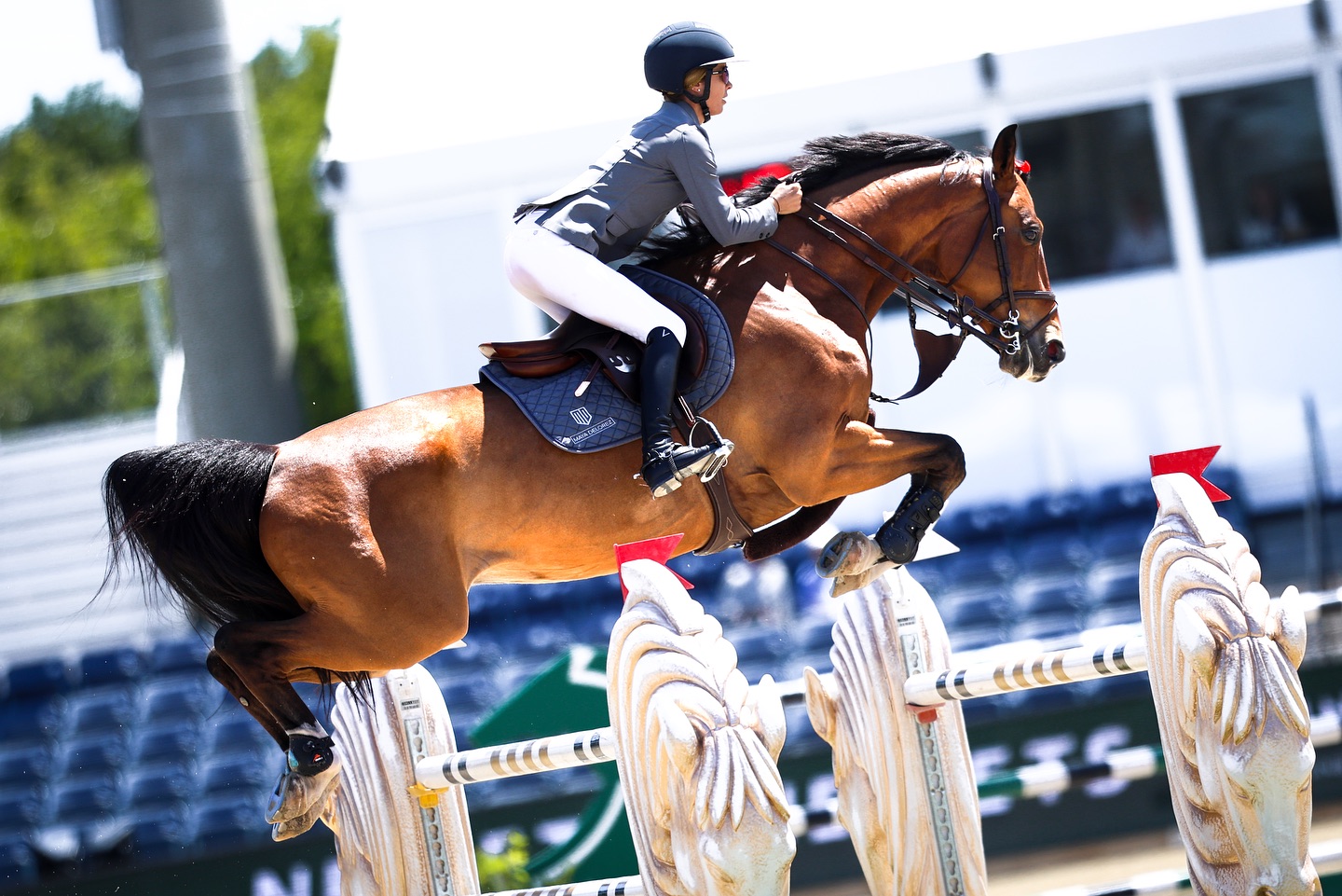 Alise Oken & Forrestal Find “their Stride” at Wellington International ...
