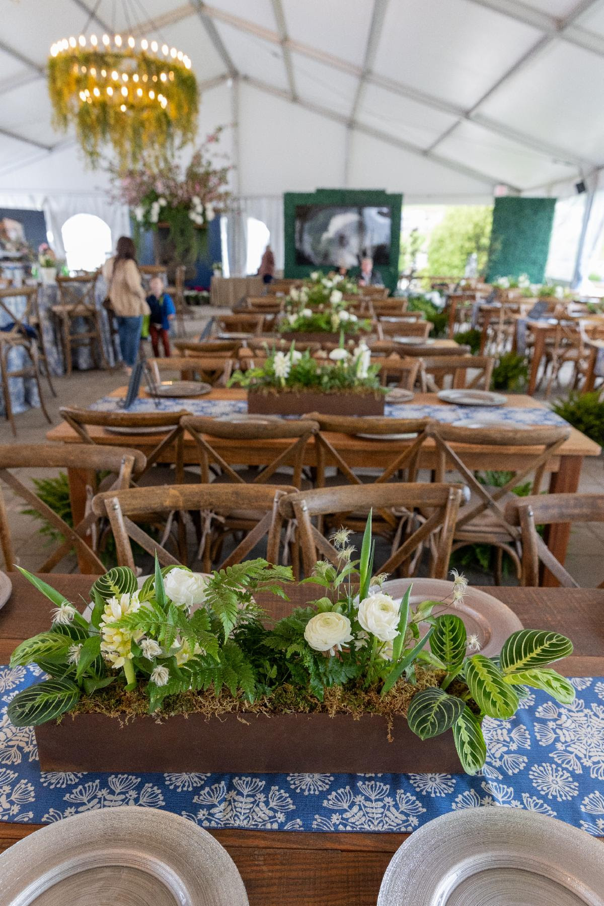 2025 Old Salem Farm Spring Horse Shows Set to Kick Off the Season in ...
