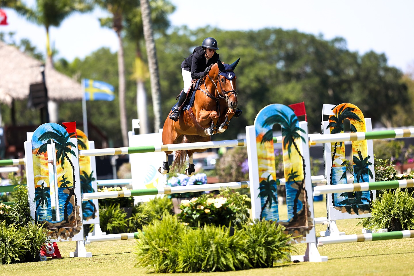 Laura Kraut Shows Consistency Again with Emeraldo 4 at Wellington ...