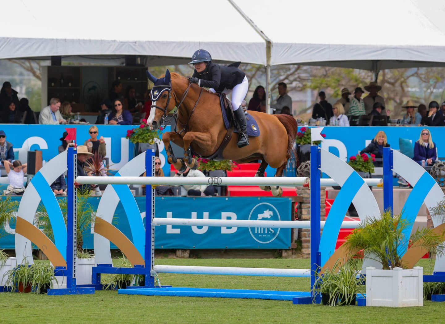 Nick Gegen & One Question Triumphant in the $80,000 Grand Prix of Del ...