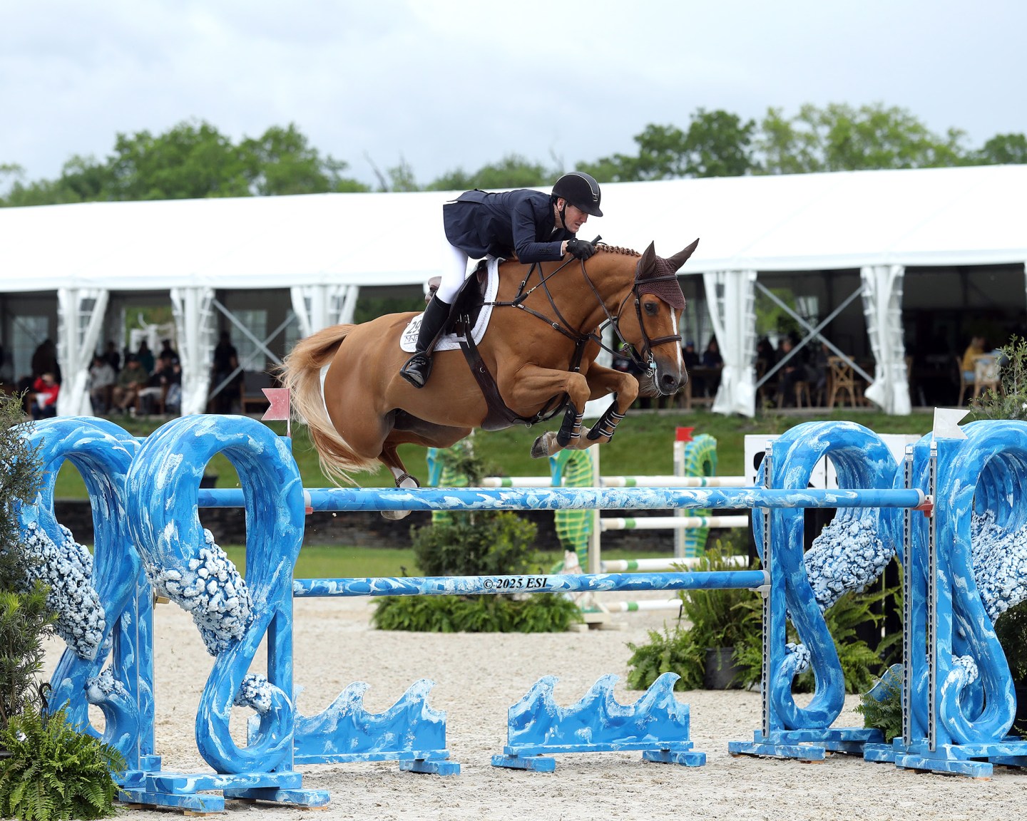 McLain Ward & Princess Dalou H Soar in the $75,000 Voltaire Grand Prix ...