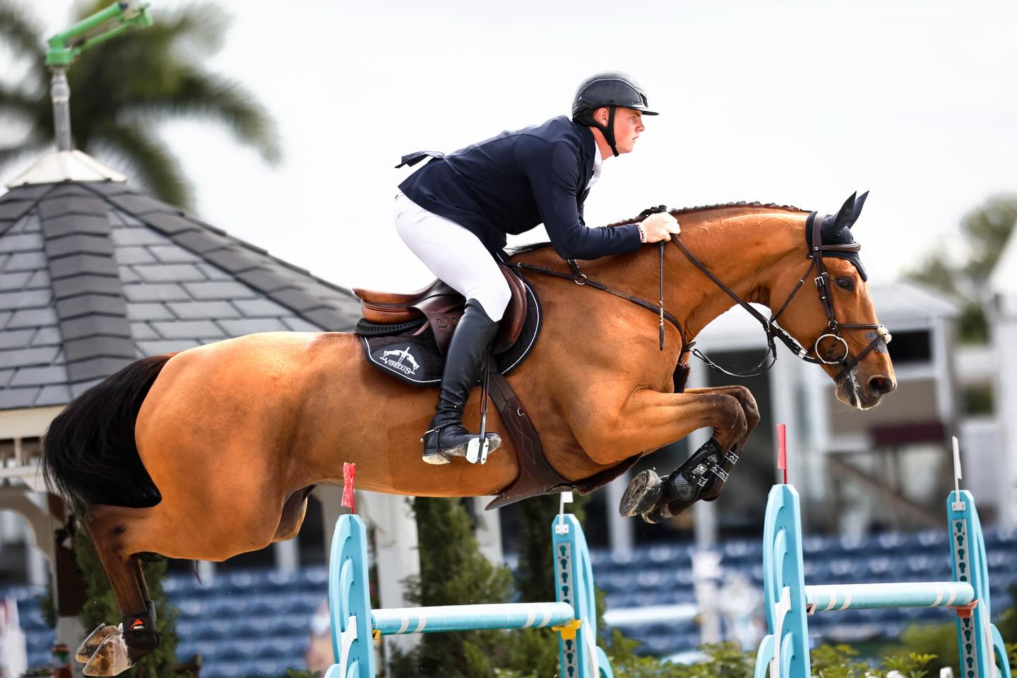 Pixel-K van’T Kattenheye Powers Ansgar Holtgers Jr. to a Podium Finish ...