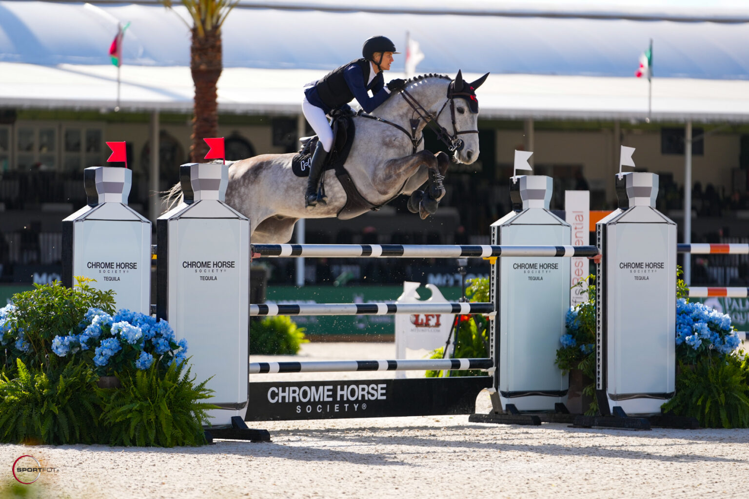 Hilary McNerney & Corlando Cruise to the Blue Ribbon in the $62,500 ...