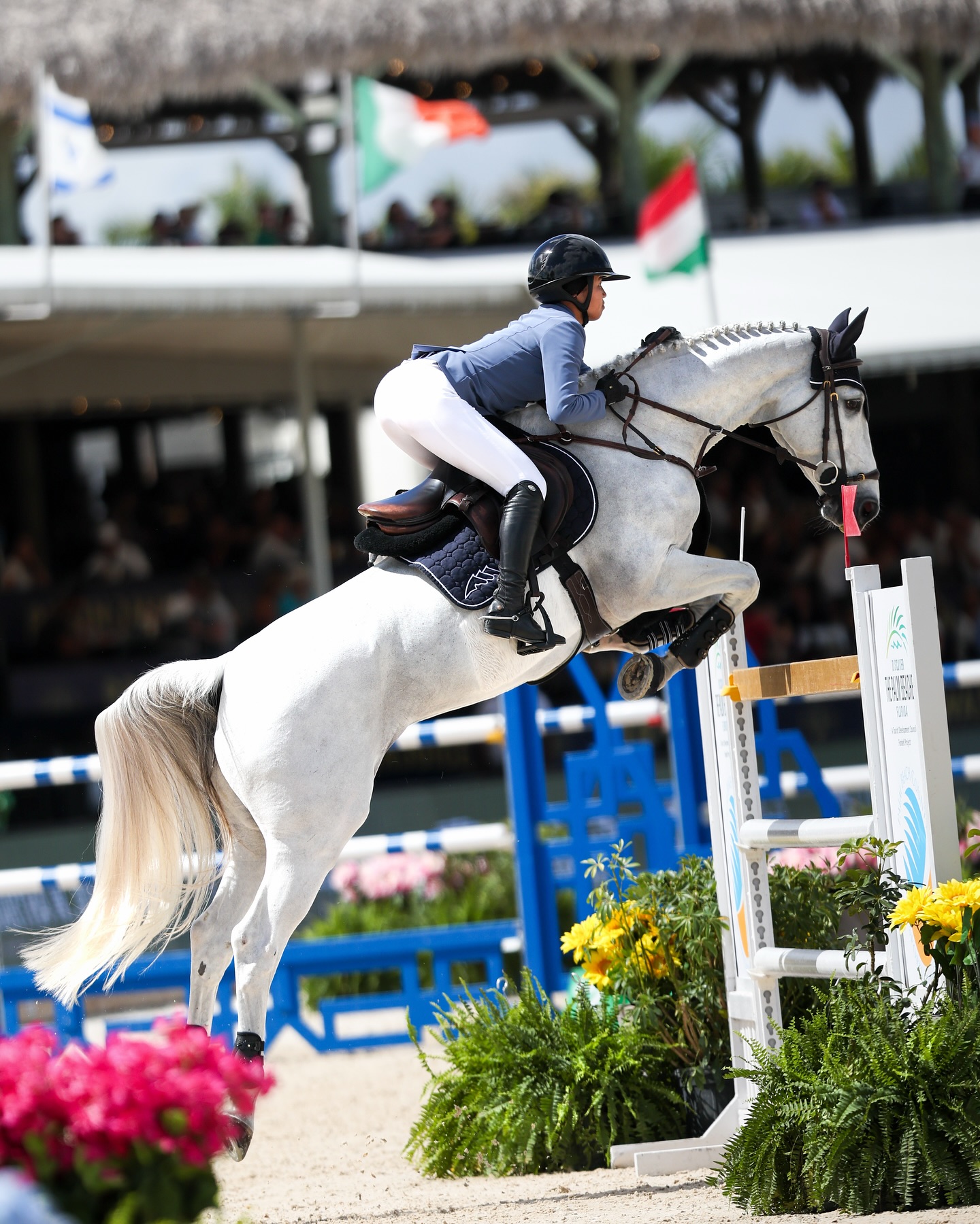 Mimi Gochman’s Consistency Continues in the $116,100 Adequan® WEF ...