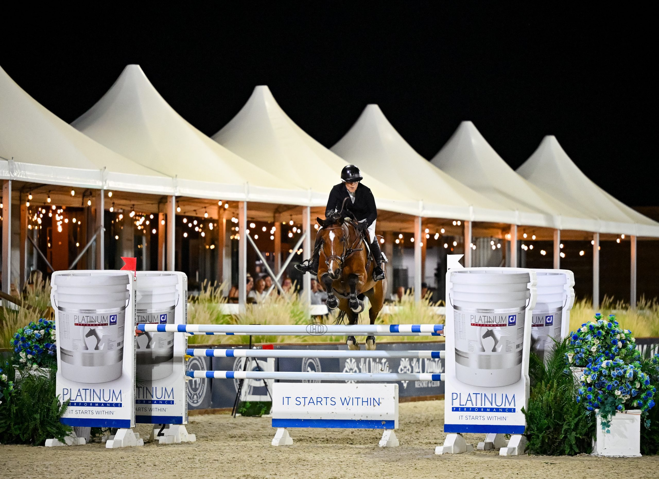Michelle Parker Gets the Blue Ribbon in the $75,000 Platinum ...